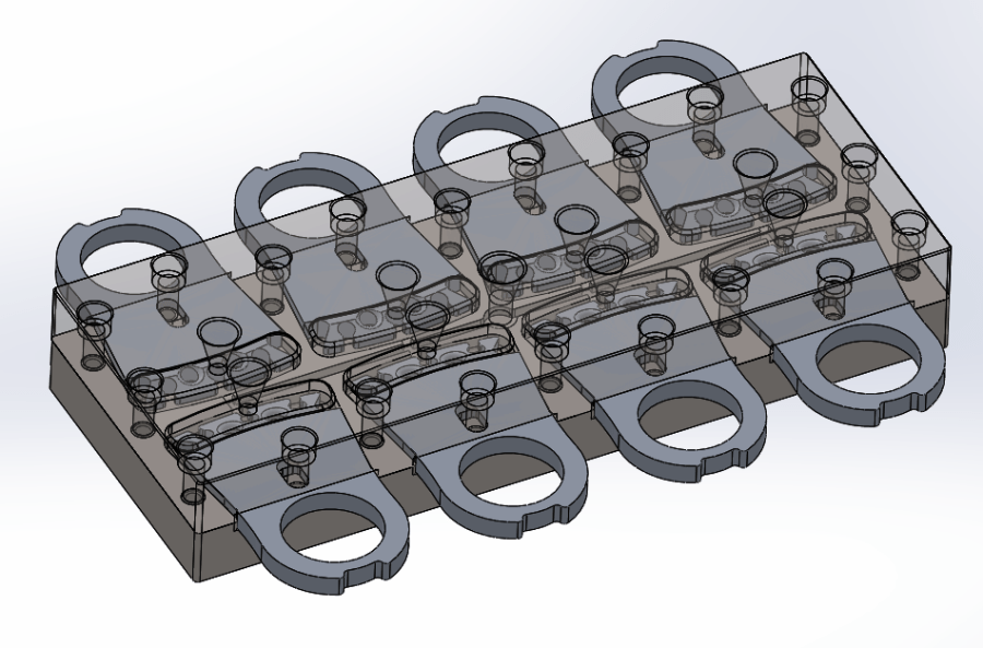 Silent Spring – Jamison Go